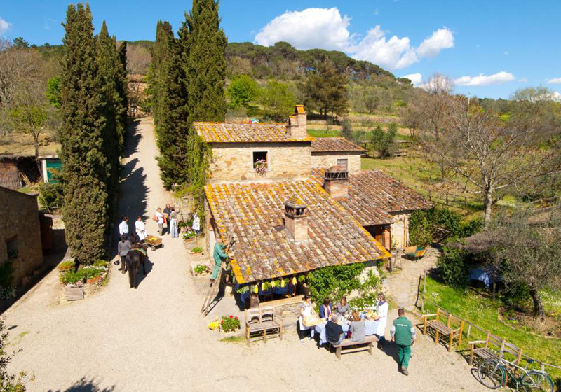 Ursprüngliches Italien: Einwöchiger Urlaub in der Fattoria La Vialla